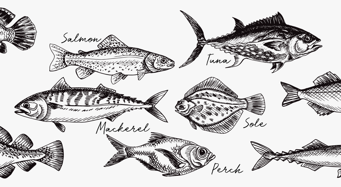 A Guide to Understanding Fish Names - Fulton Fish Market
