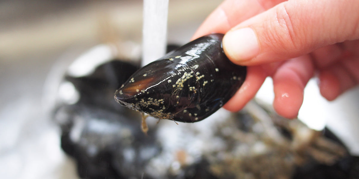 Step-by-Step Instructions: How to Clean Mussels | Fulton Fish Market