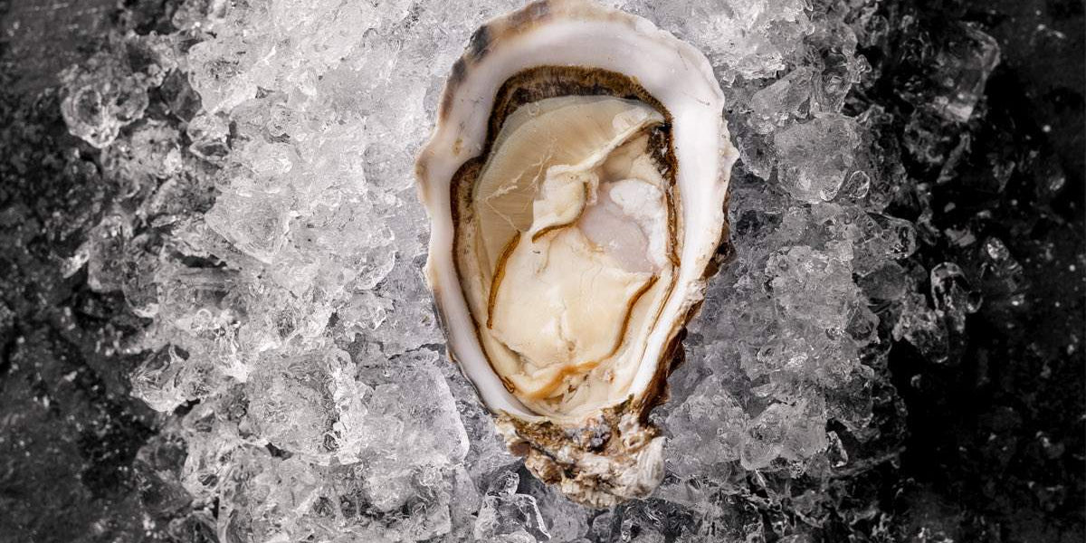 Can You Freeze Shellfish? | How to Freeze Shellfish