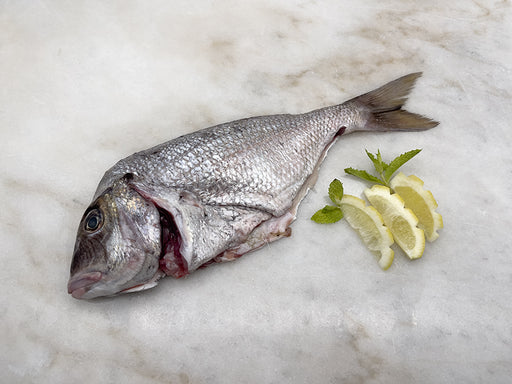 Buy Fresh Whole Fish Online | Fresh Fish Delivery - Fulton Fish Market
