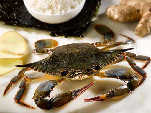 Buy Crab Online | Buy Crabmeat Online - Fulton Fish Market