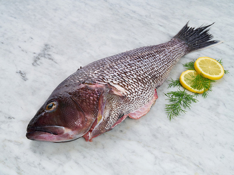 Buy Bass Online | Buy Branzino Online | Fulton Fish Market